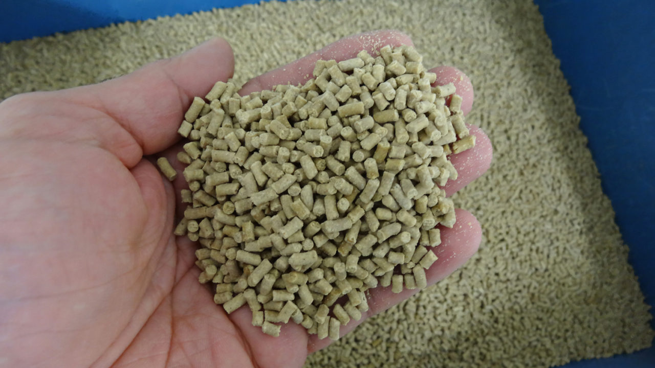 Aquafeed supplementation with crystalline amino acids - Responsible ...