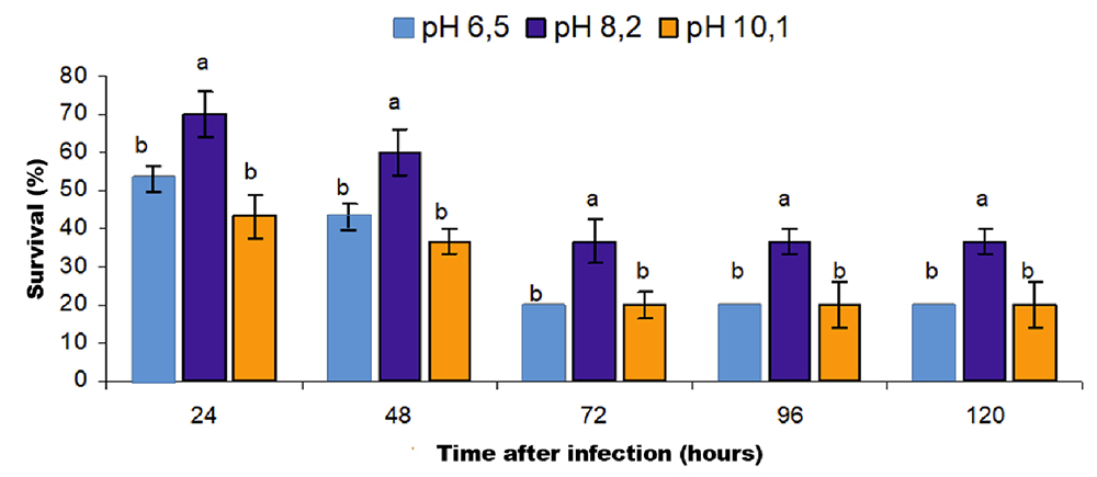 Understanding shrimp hemocytes - Responsible Seafood Advocate