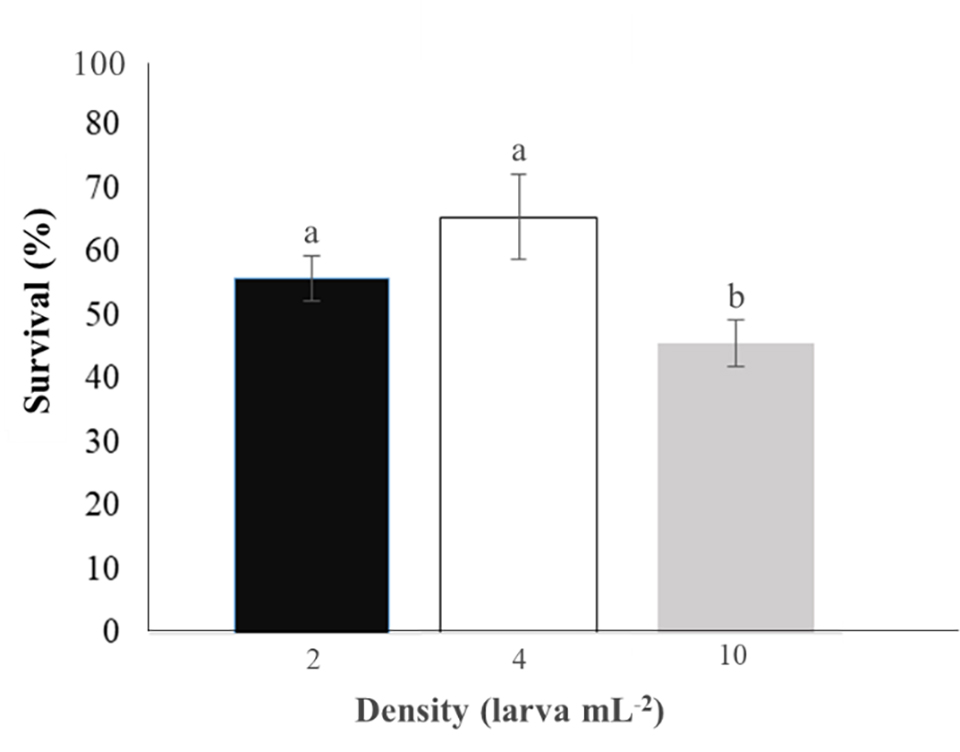 Larviculture of the West Indian pointed venus - Responsible Seafood ...