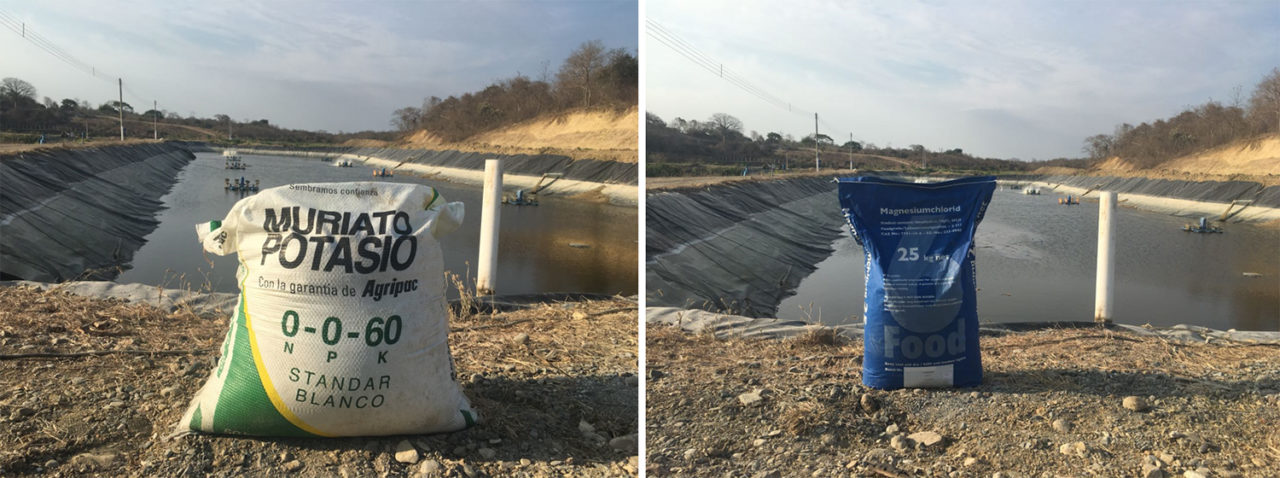 Thoughts on pond fertilization - Responsible Seafood Advocate