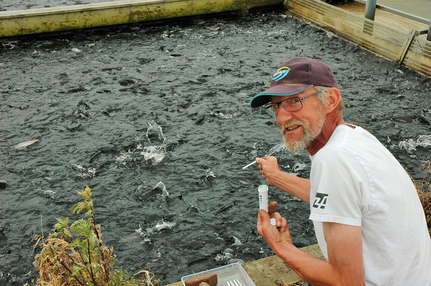 Microbial activity assessment based on hydrogen peroxide decomposition ...