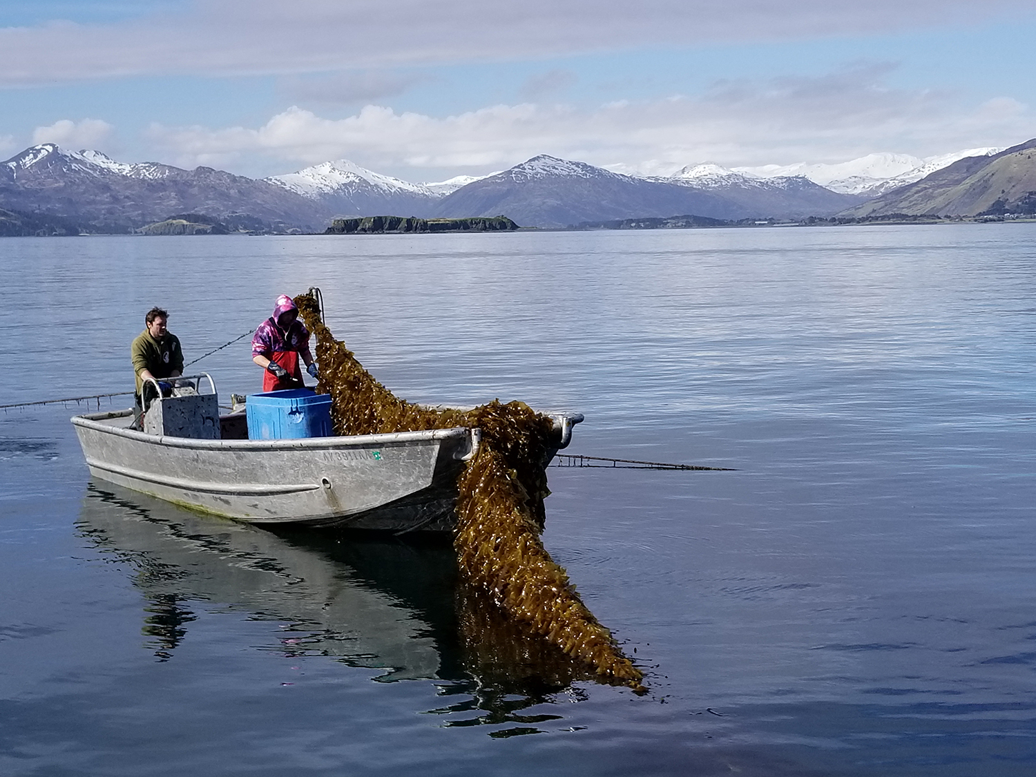 With entrenched aquaculture views, Alaska weighs its future in farming ...