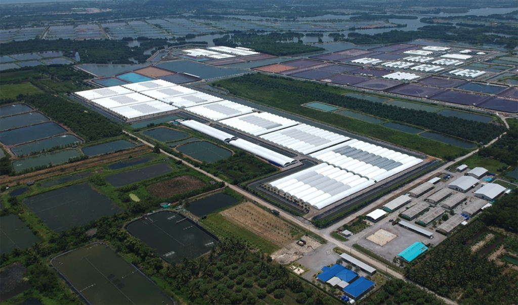 Live processing differentiates U.S. shrimp brand - Responsible Seafood ...