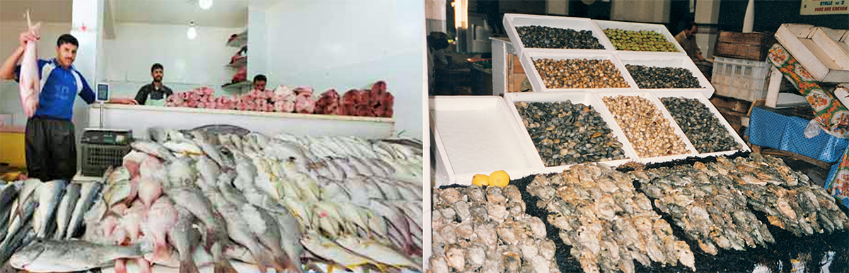 The Arab region seafood marketplace, part 1 - Responsible Seafood Advocate