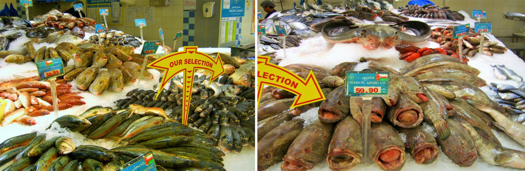 The Arab region seafood marketplace, part 2 - Responsible Seafood Advocate