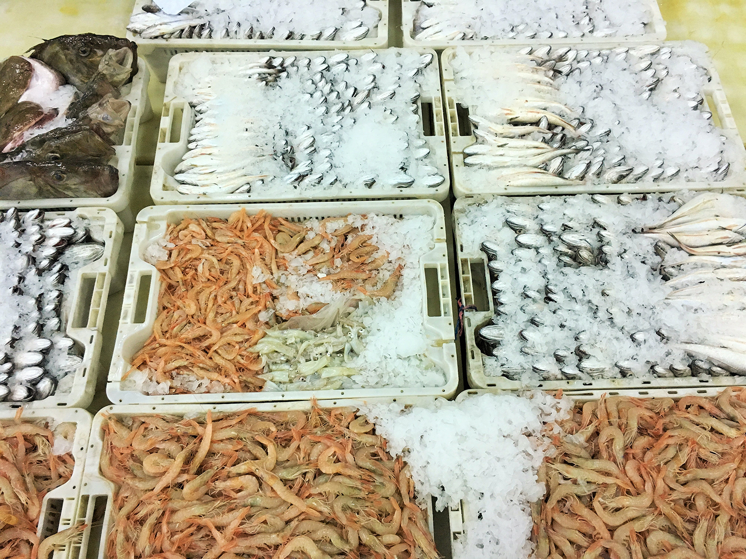 The Arab region seafood marketplace, part 2 - Responsible Seafood Advocate