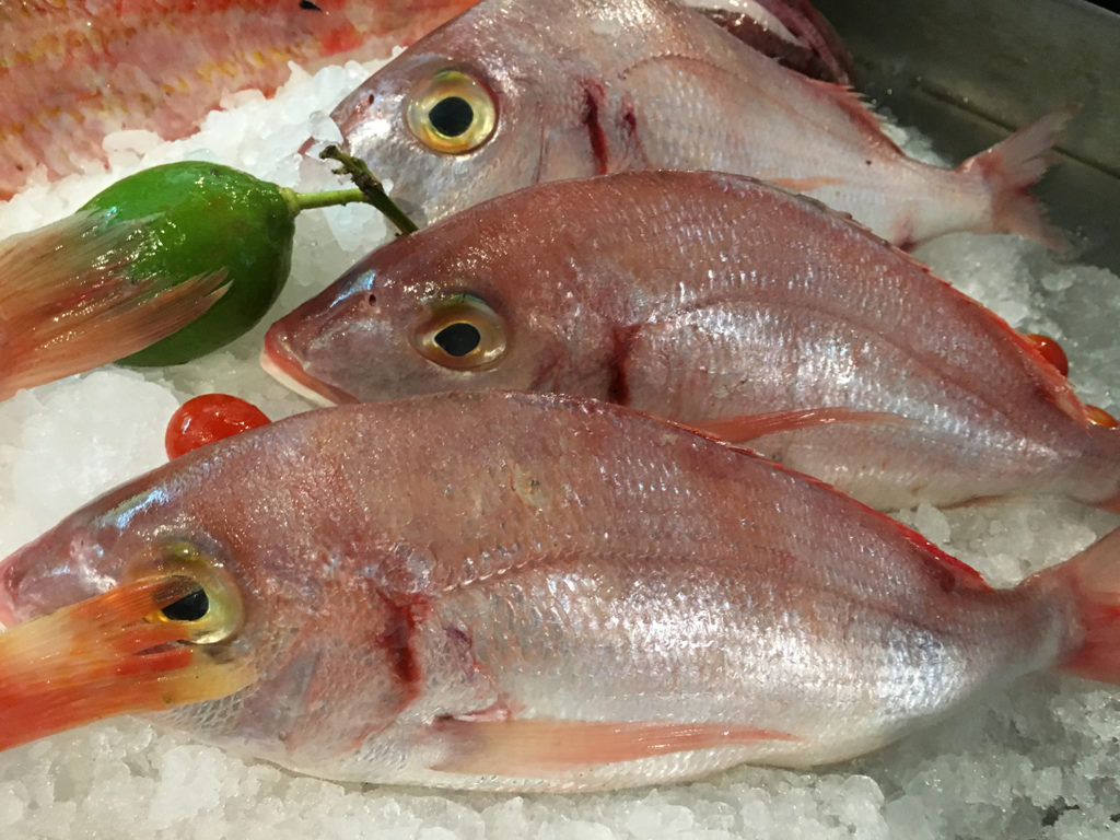 The Arab region seafood marketplace, part 2 - Responsible Seafood Advocate