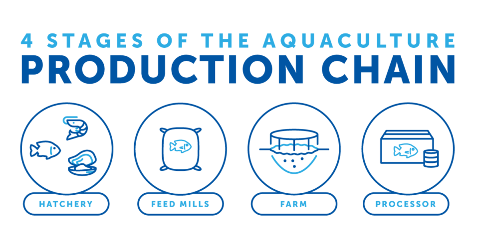 What is Aquaculture, and Why Do We Need It?