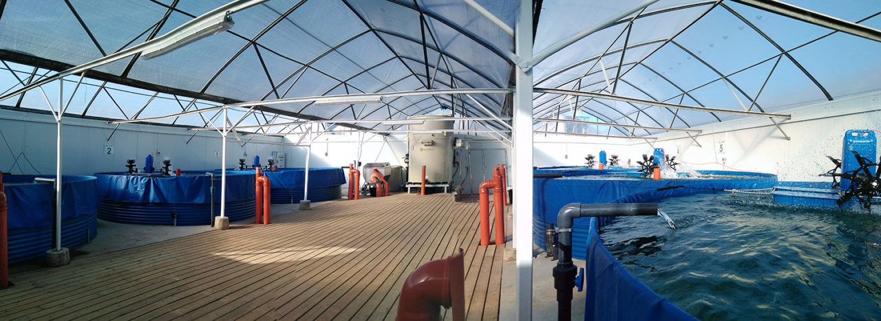 Israeli firm’s ‘plug-and-play’ RAS solution attracts investment ...