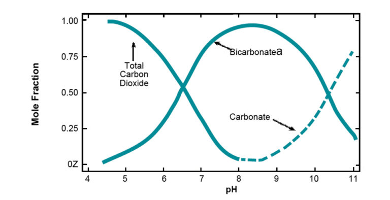 Total alkalinity and total hardness - Responsible Seafood Advocate