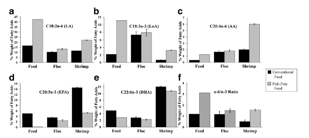Feed formulations affect shrimp flavor, texture - Responsible Seafood ...