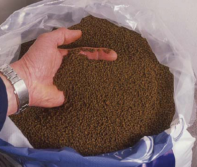 Meta-analysis examines ingredient substitution for fishmeal in salmon ...