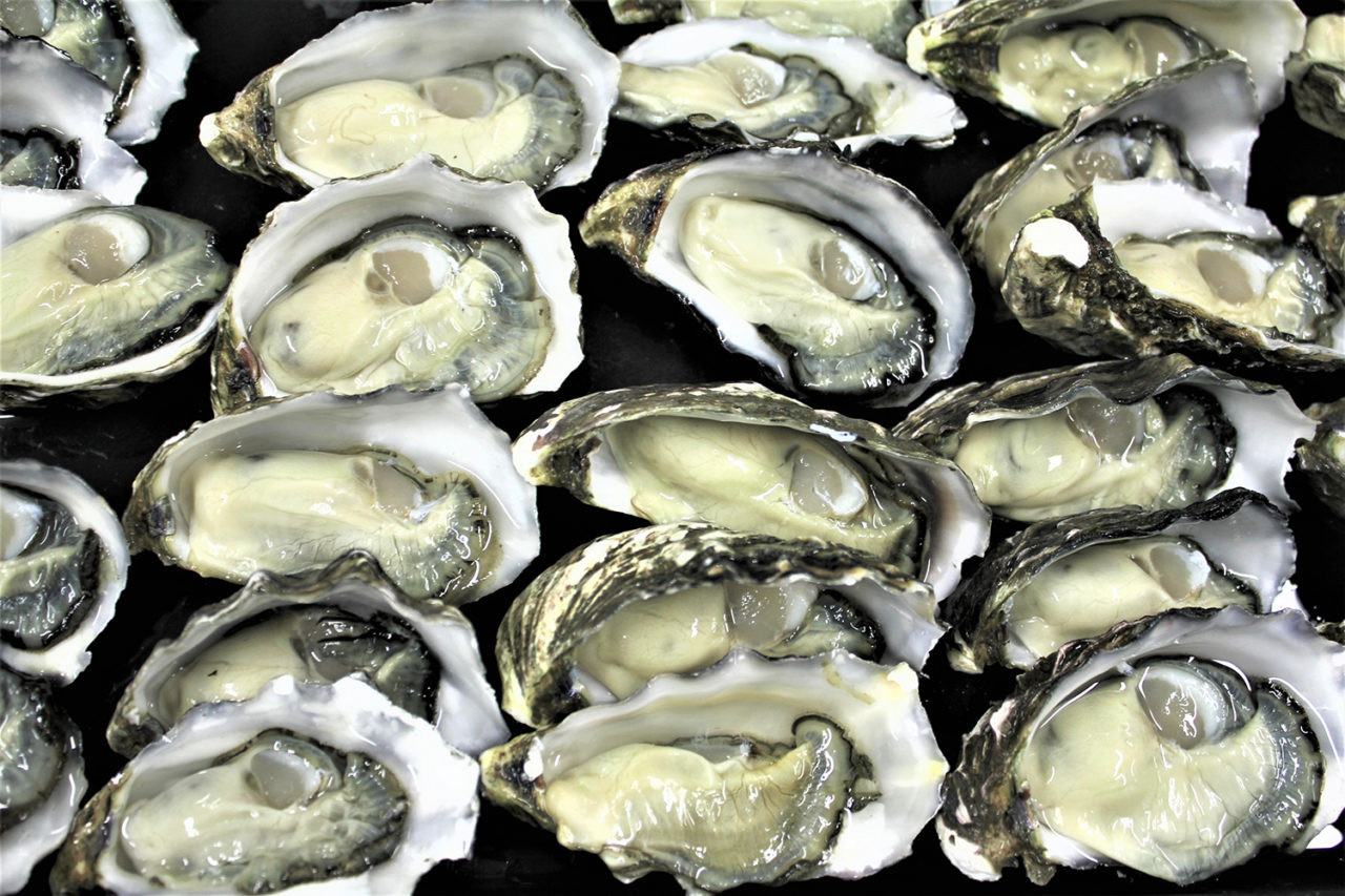 A model for estimating pathogen variability in shellfish - Responsible ...