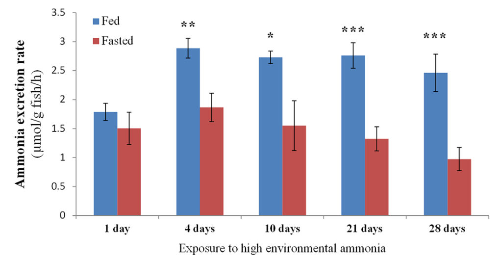 Preventing high ammonia-induced toxicity in cultured fish - Responsible ...