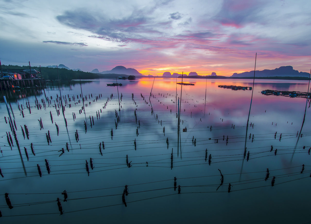How aquaculture furthers the Blue Growth Initiative - Responsible ...