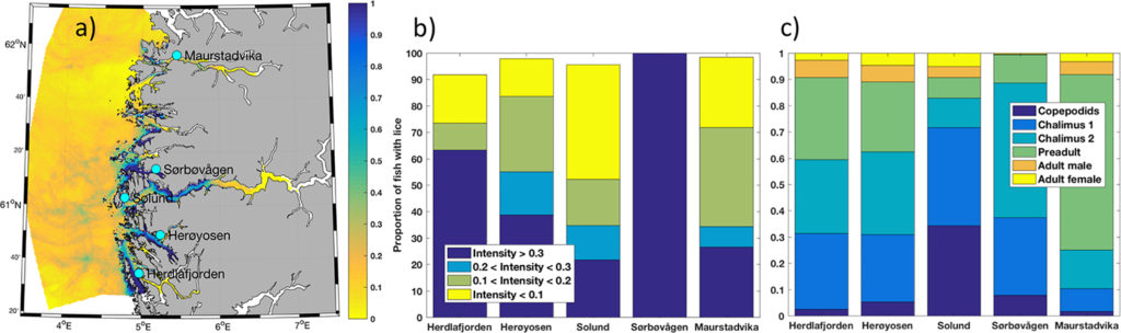 Norwegian researchers develop sea lice tracking model - Responsible ...