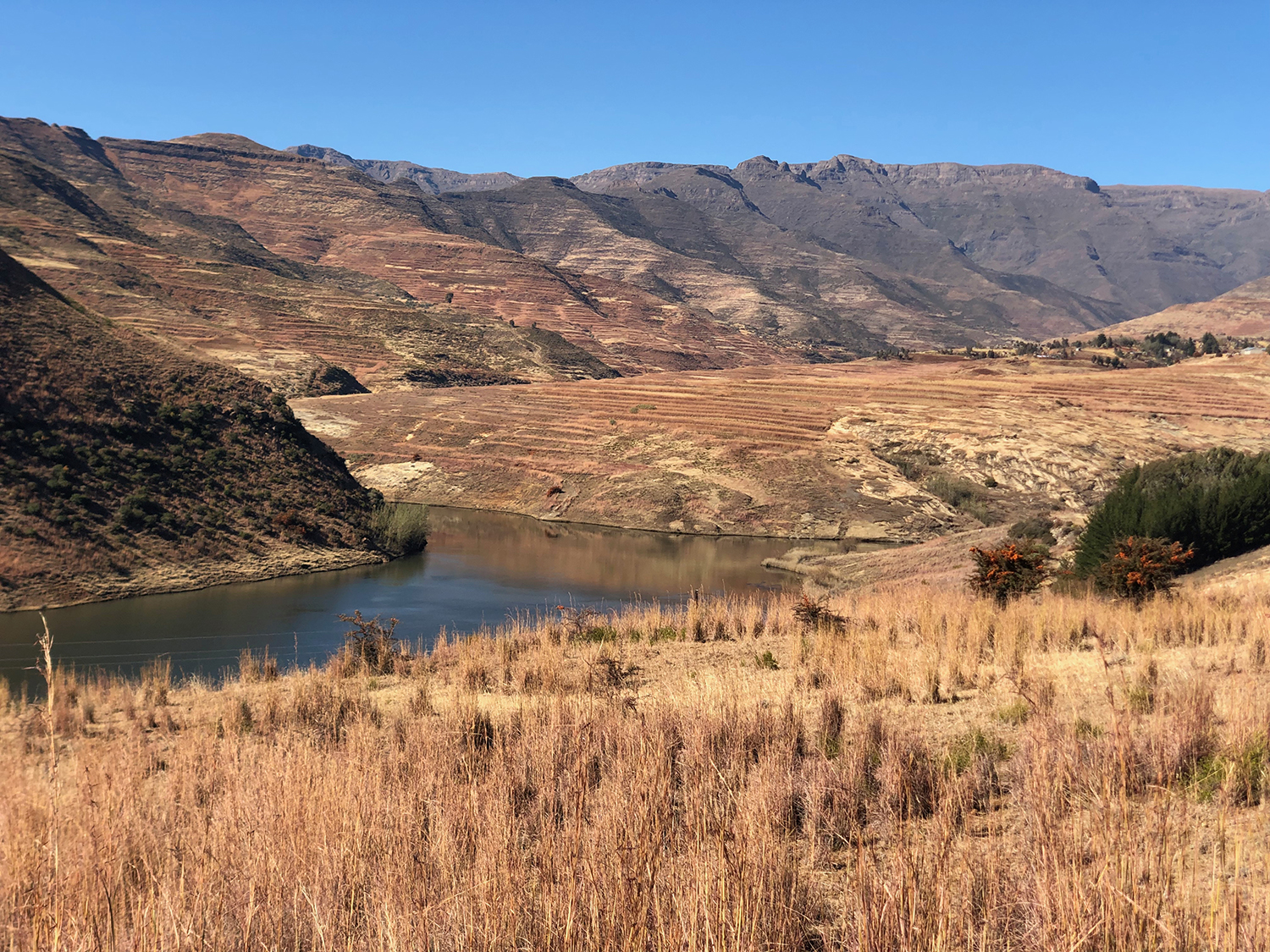 Africa’s first land-based salmon farm a landmark for Lesotho ...