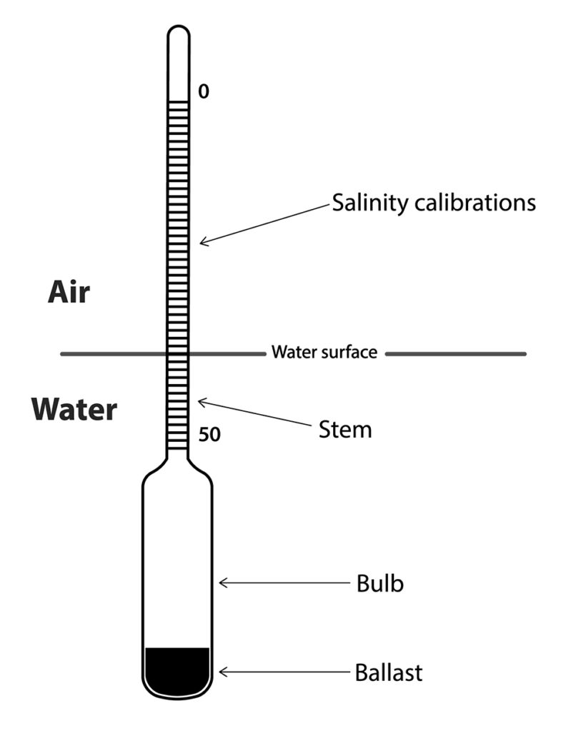 Salinity in aquaculture, Part 2 - Responsible Seafood Advocate