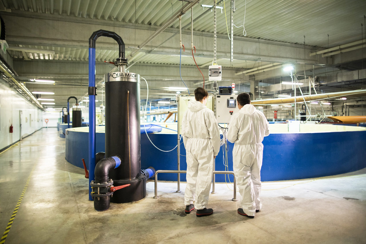 AquaMaof cultivating a ‘new generation’ of fish farmers - Responsible ...