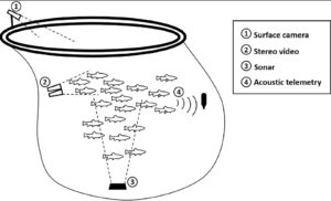Precision fish farming: A new framework to improve aquaculture, Part 1 ...