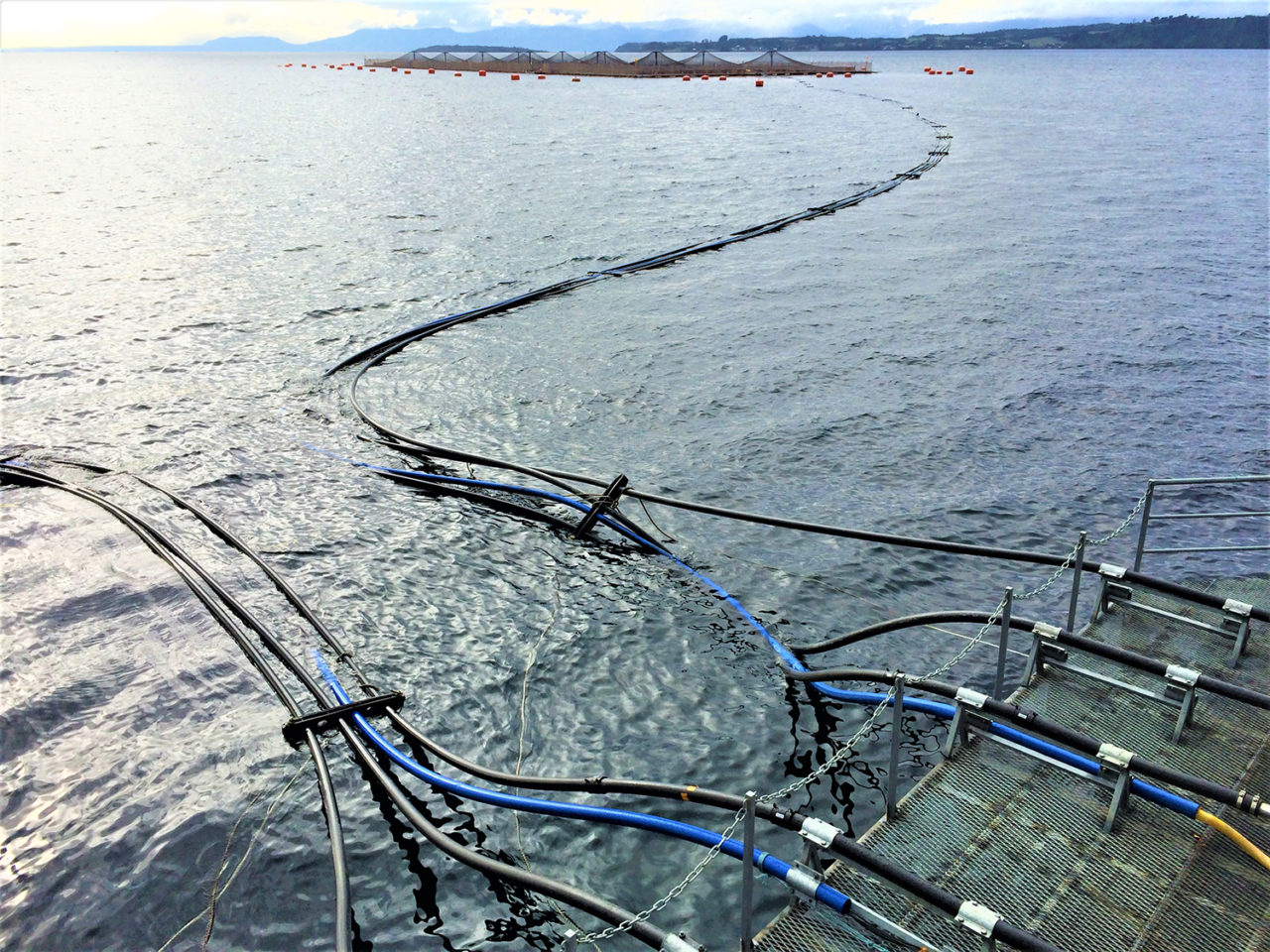Precision fish farming: A new framework to improve aquaculture, Part 1 ...