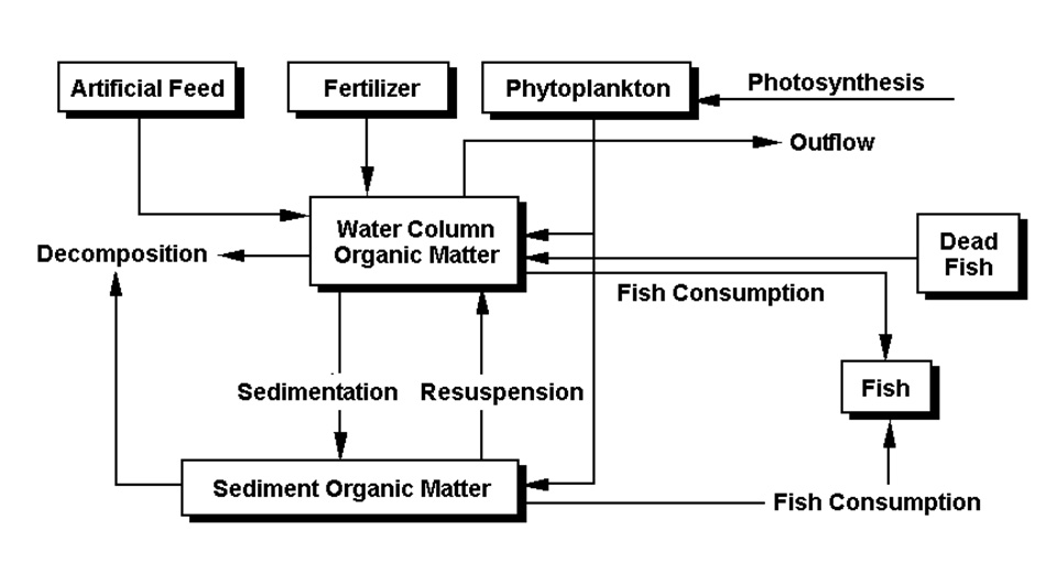Model for managing organic sediment in aquaculture ponds - Responsible ...