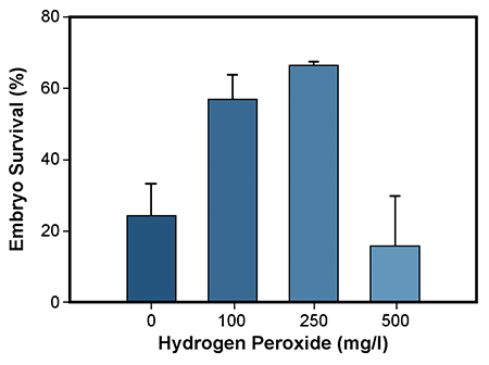 Hydrogen peroxide treatments improve catfish embryo survival ...
