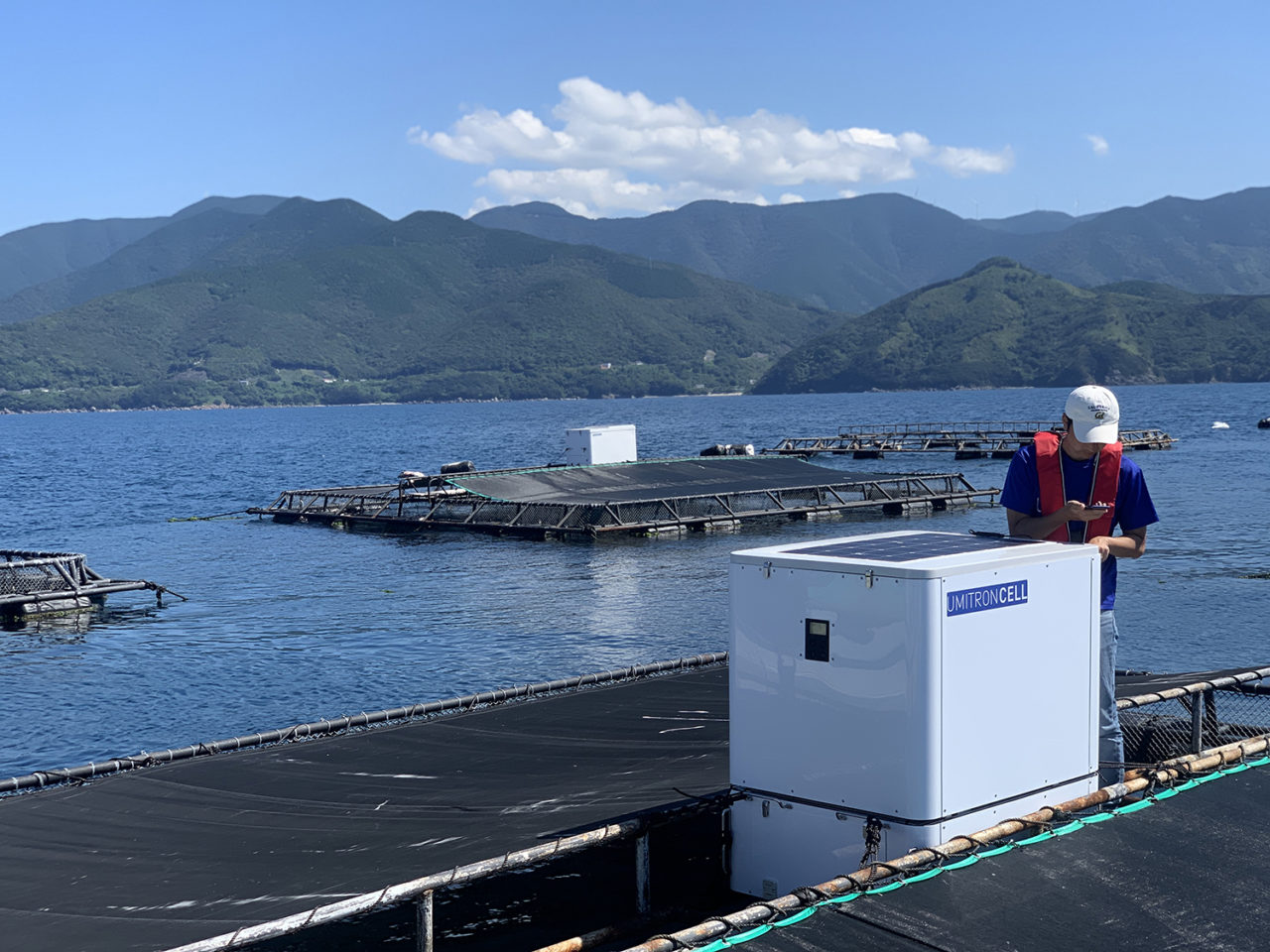 Can aquaculture go all-in on AI? - Responsible Seafood Advocate