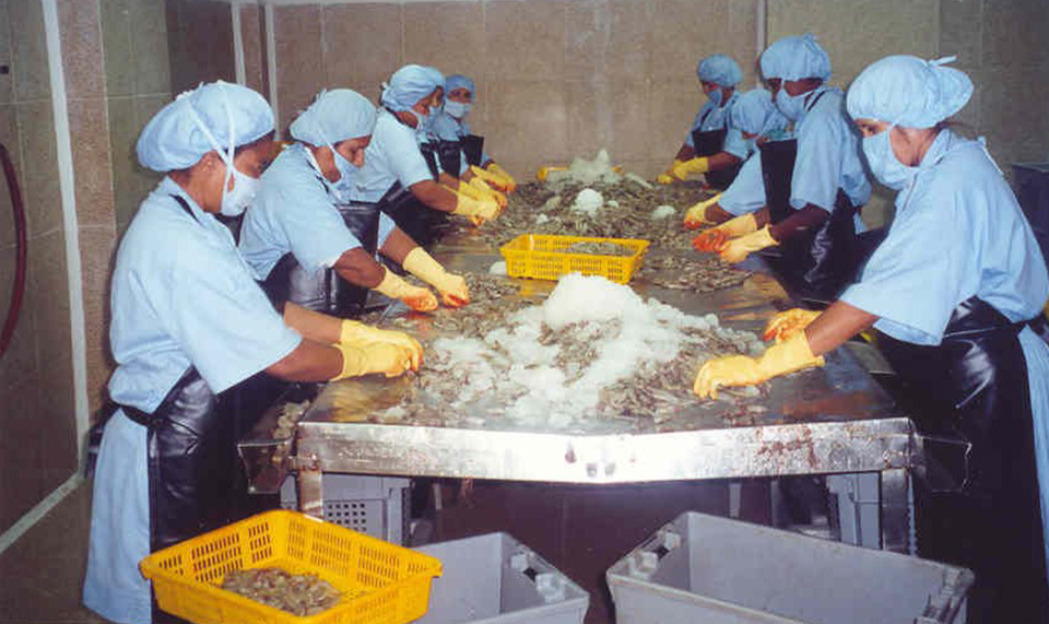 HACCP risk management tool controls viral pathogens at shrimp ...