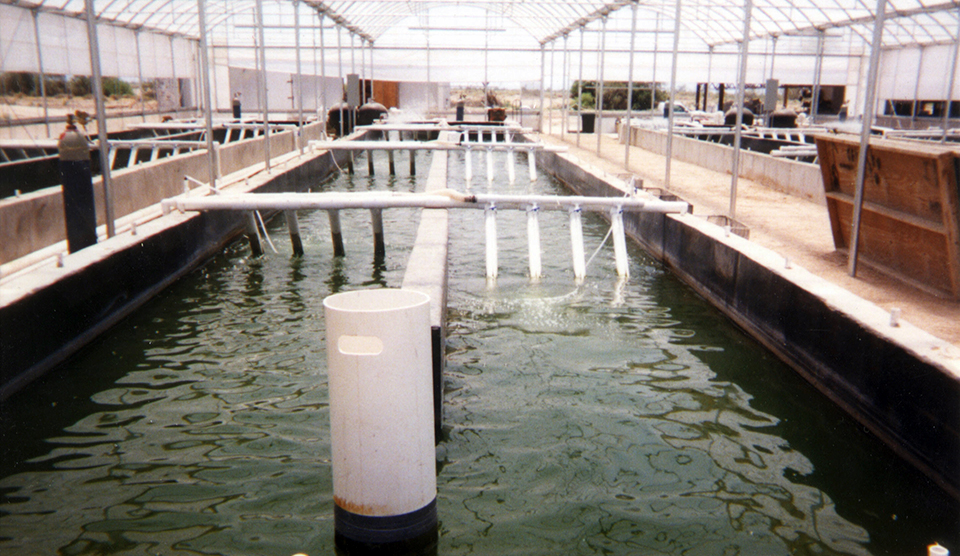 Zero water exchange - Responsible Seafood Advocate