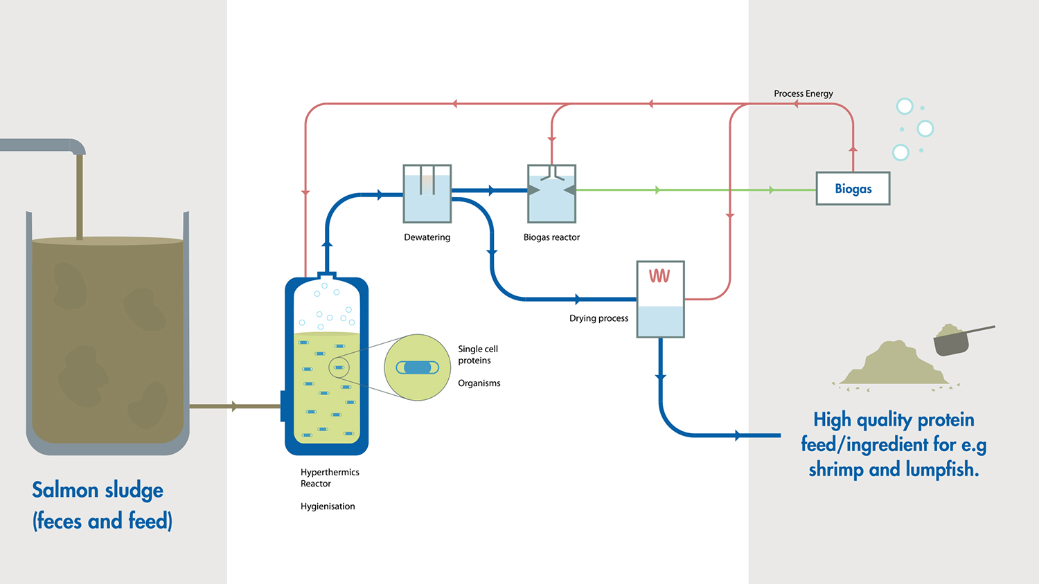 Waste not: Novel protein-recapture initiatives for aquaculture ...