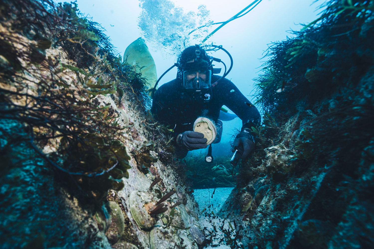 Documentary to depict ‘what we should demand’ from aquaculture ...