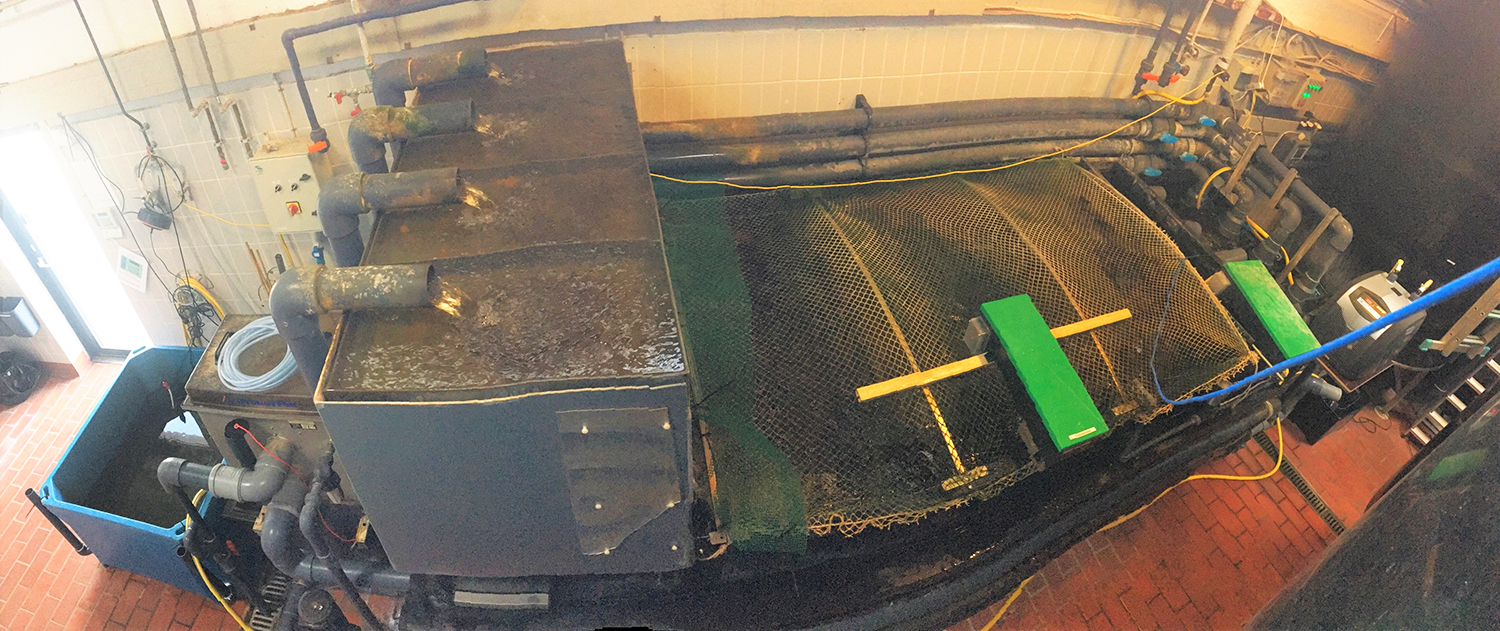 Tratamiento electroquímico del agua de RAS - Responsible Seafood Advocate