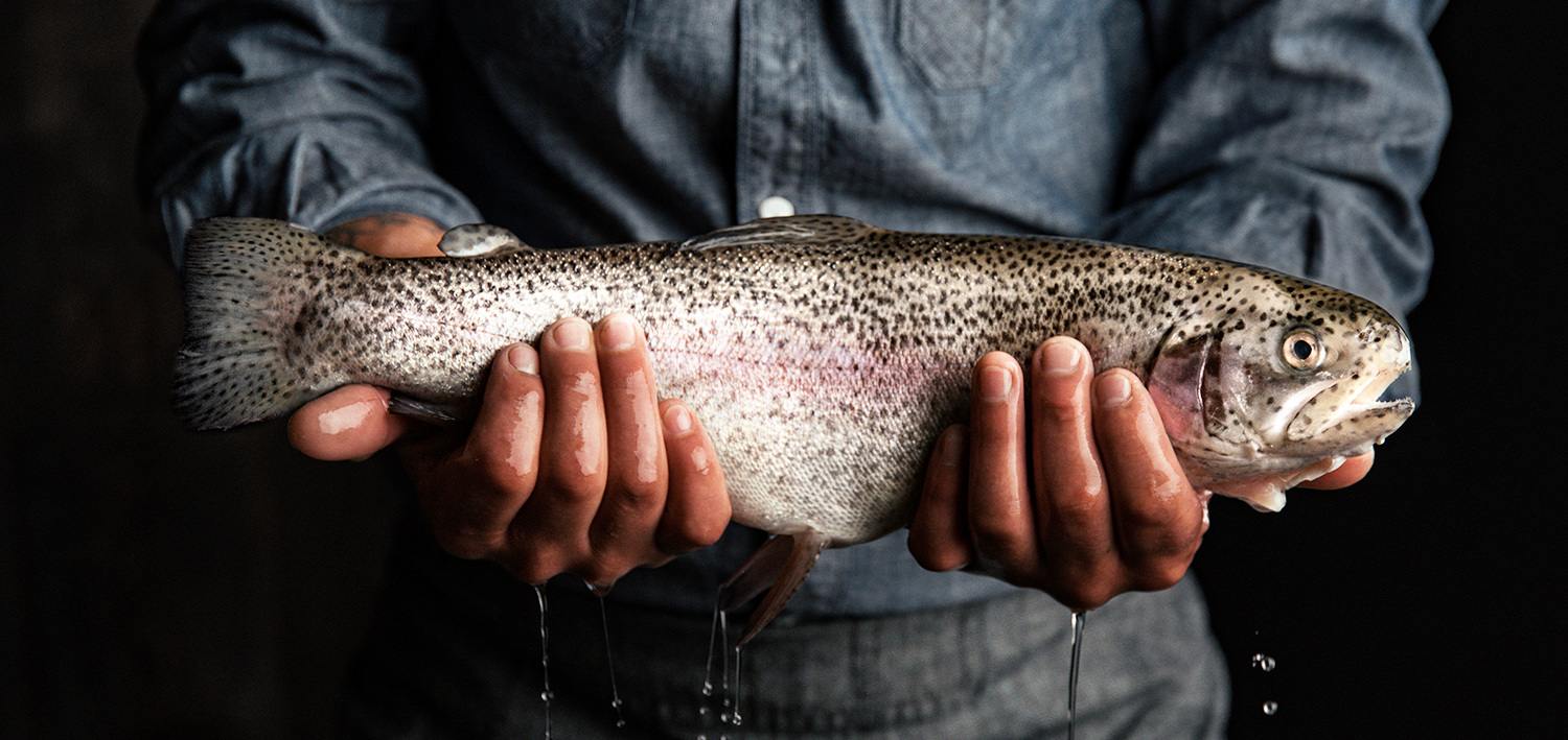 From the Hollywood Hills to the raceways of Riverence - Responsible ...