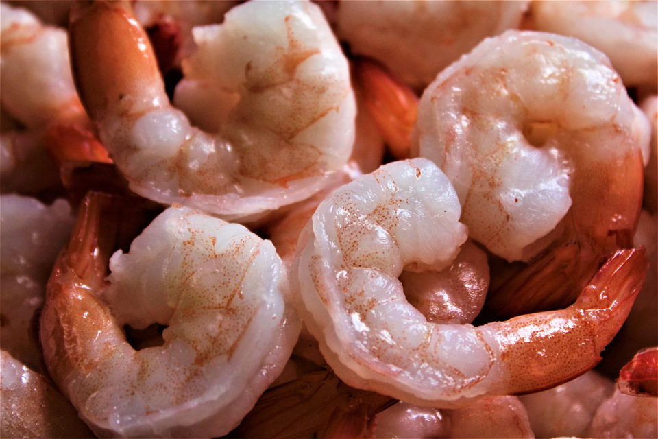 Assessment of transmission risk in cooked, WSSV-infected shrimp ...