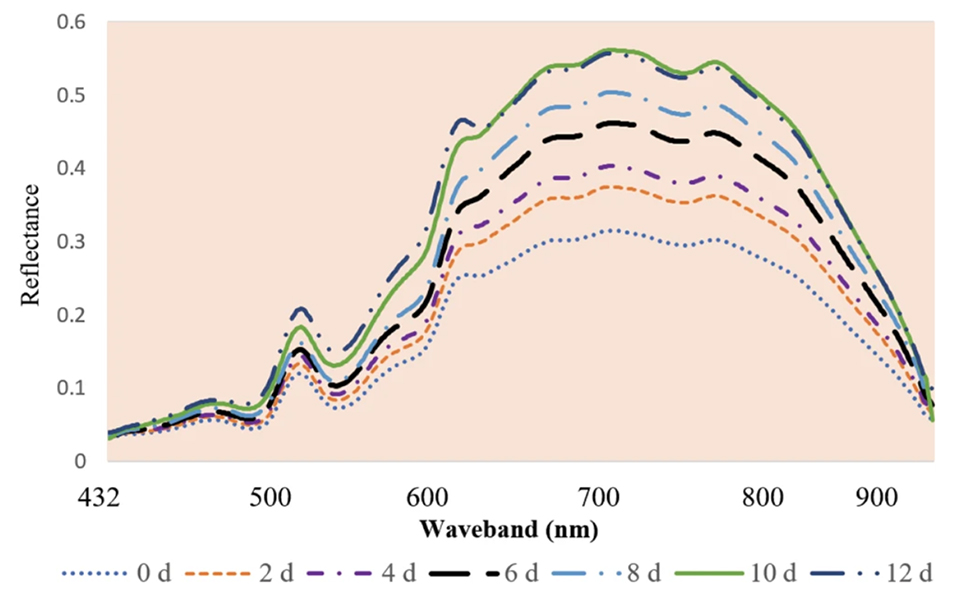 Prediction of freshness indicators in rainbow trout fillets ...