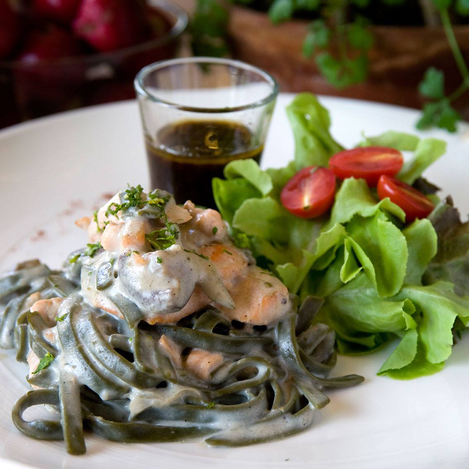 Just add sun: Behind EnerGaia's evolving spirulina strategy ...