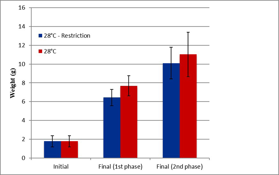 Evaluación del crecimiento compensatorio de camarones blancos del ...