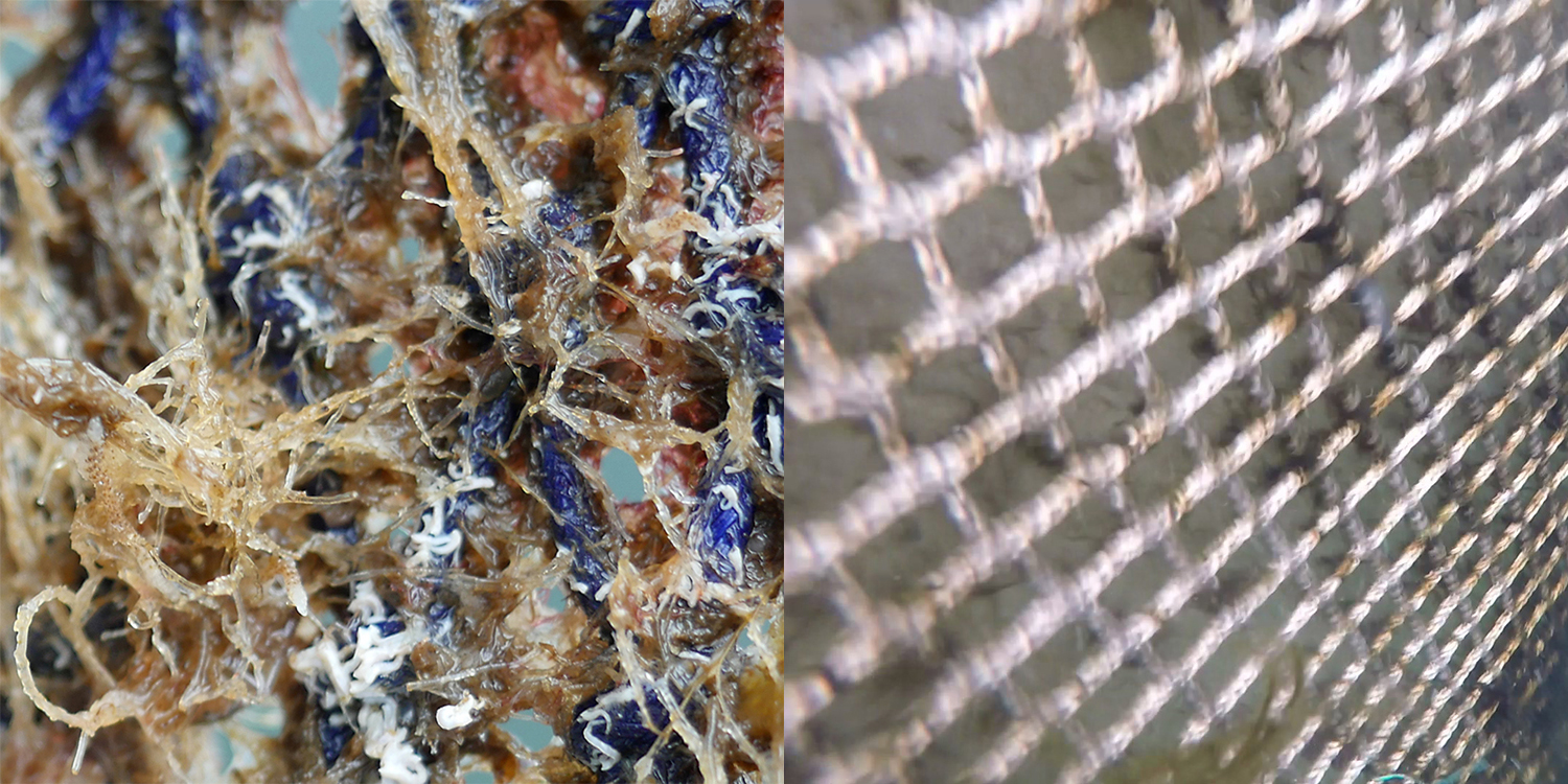 Net gains in aquaculture net technology - Responsible Seafood Advocate