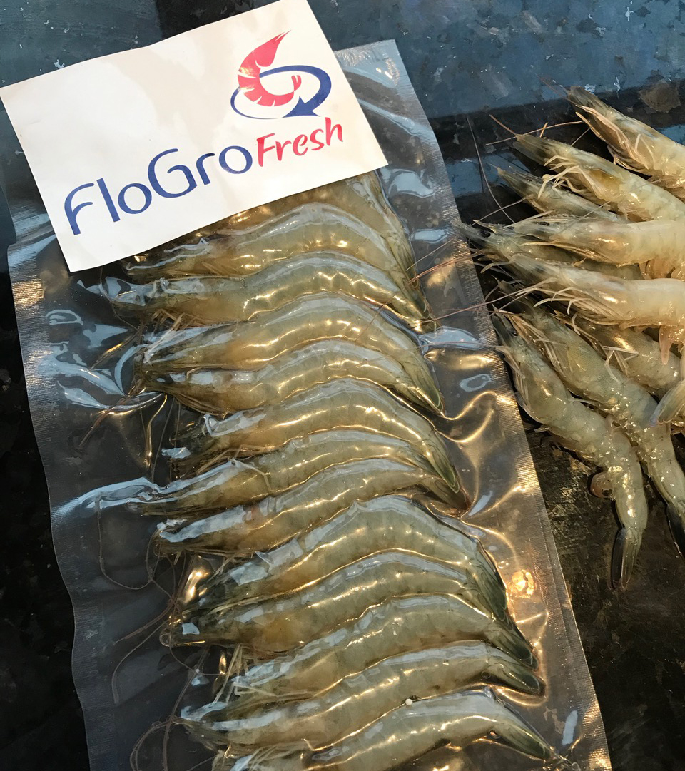 Ascending U.K. prawn farms now riding out the coronavirus storm ...