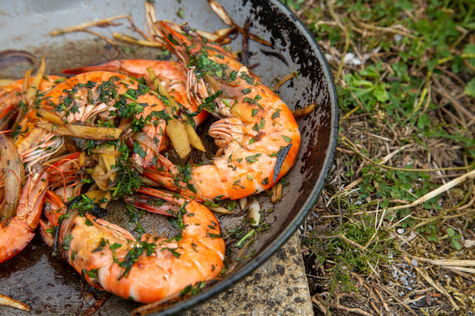 Ascending U.K. prawn farms now riding out the coronavirus storm ...