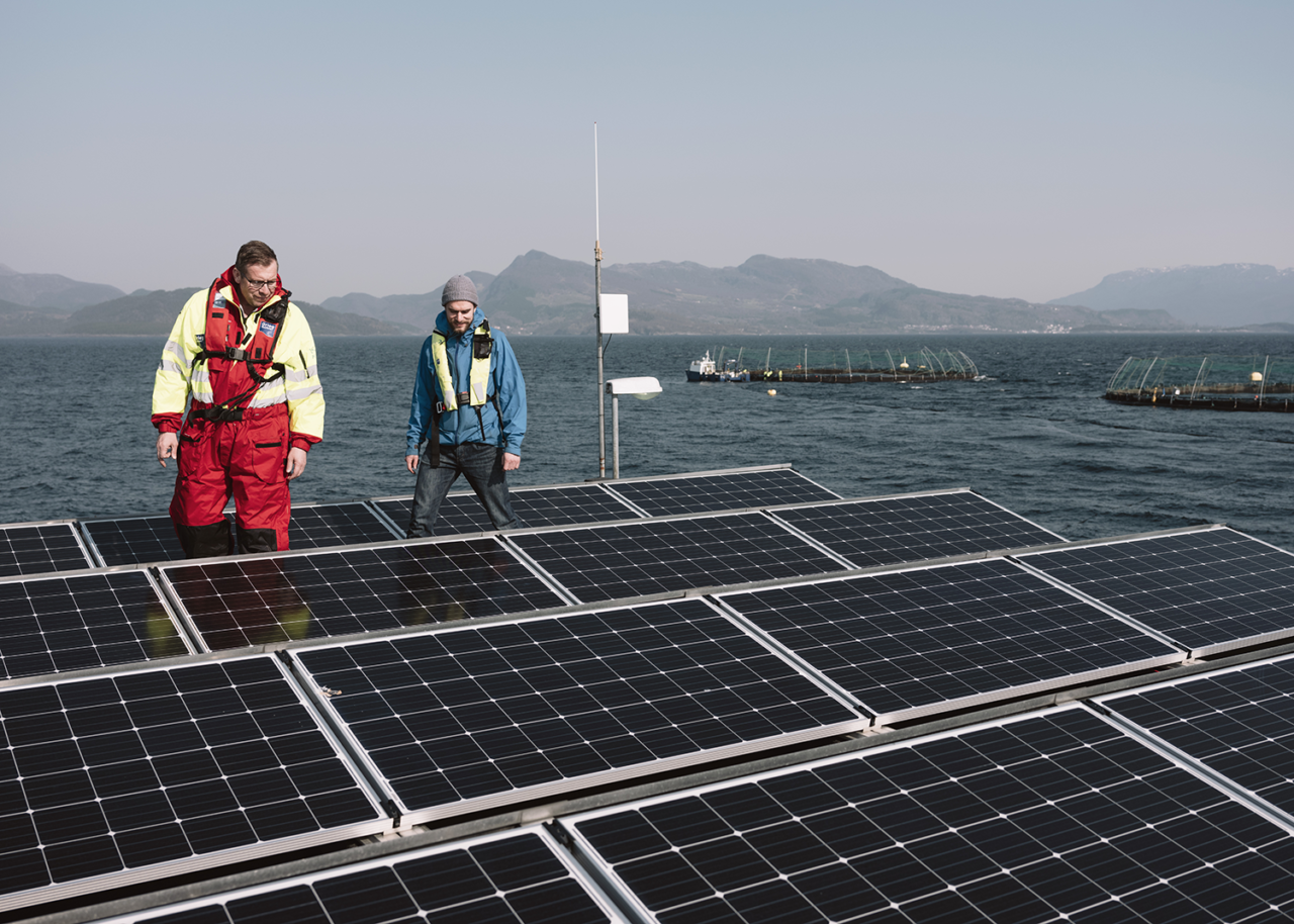 Renewable energy could transform offshore aquaculture, but what about ...