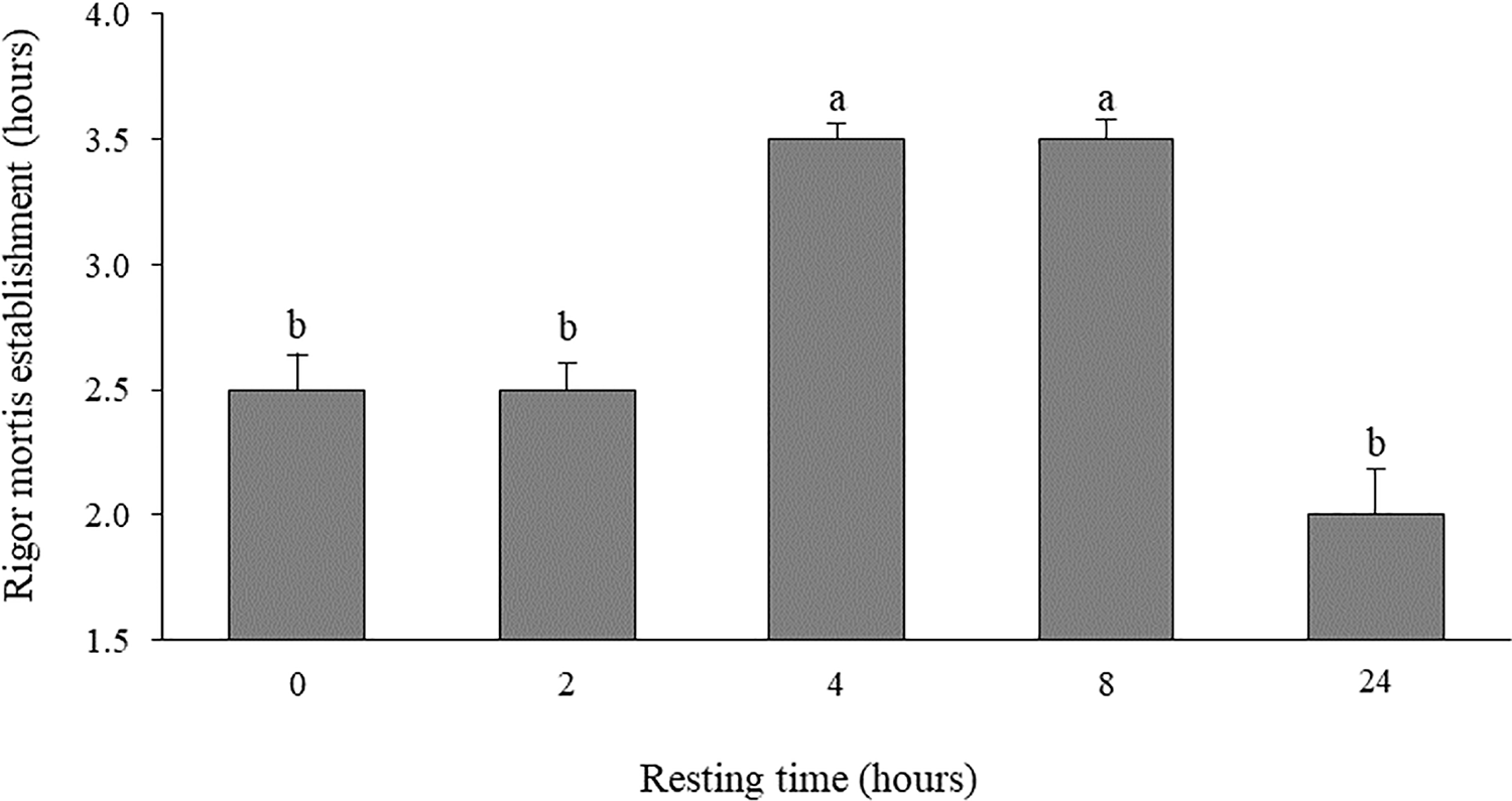 Evaluating resting time before slaughter on surubim fillet quality ...