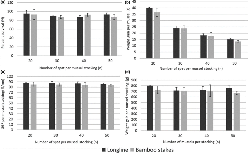 Green mussel culture using longlines and traditional stake methods in ...