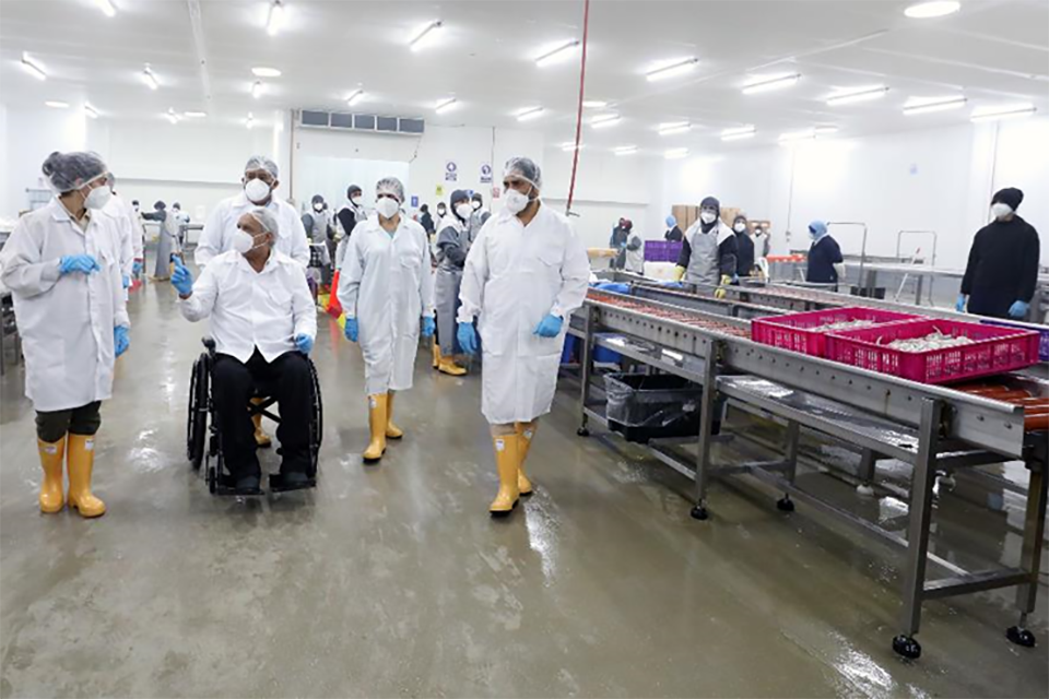 Ecuador’s shrimp industry clearing numerous hurdles in 2020 ...