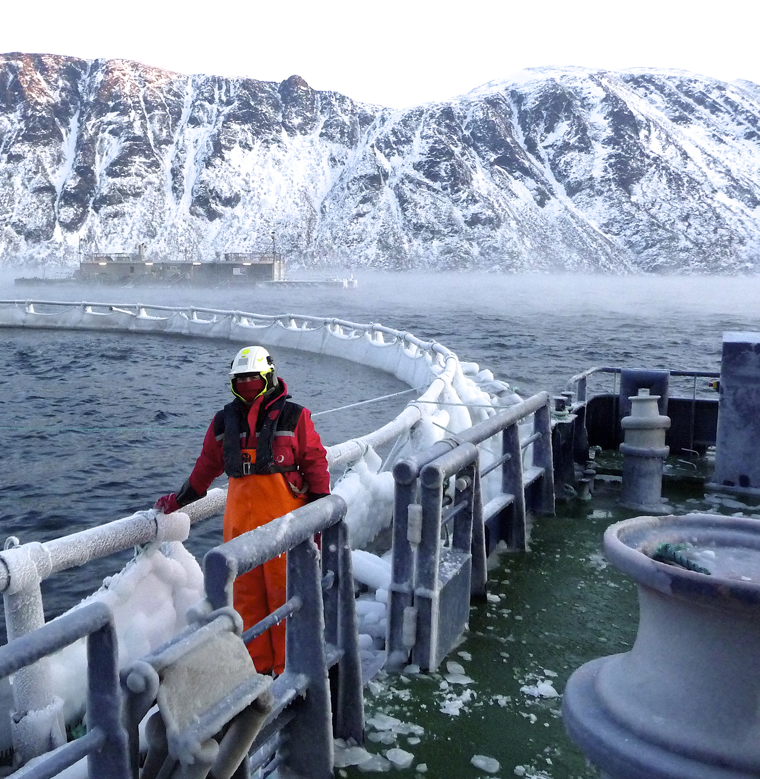 Can underwater forecasting promise loss prevention for fish farmers ...