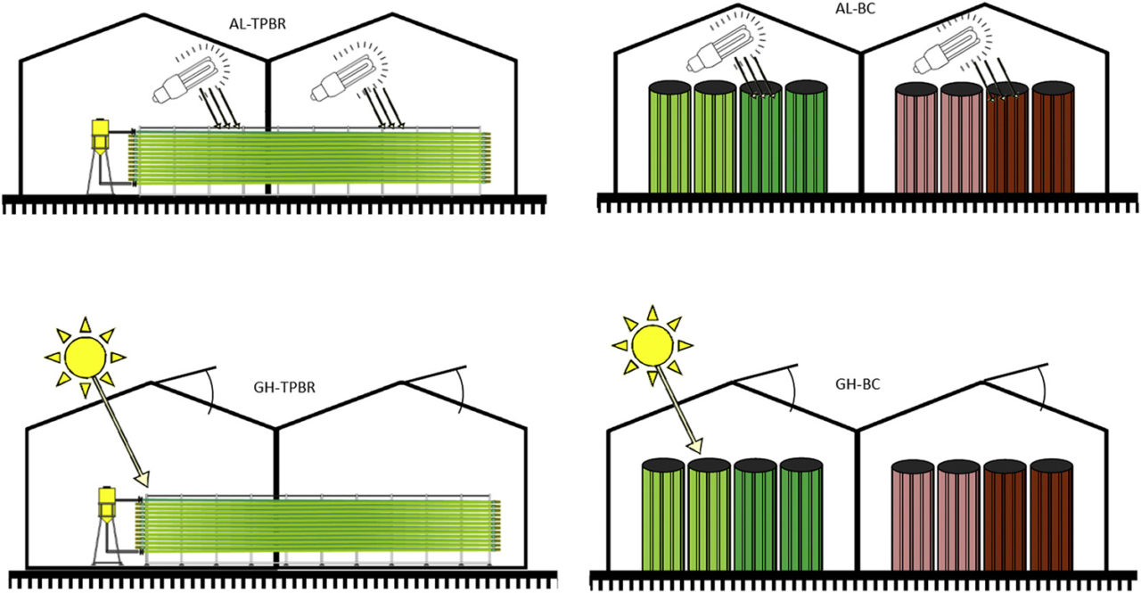 Modeling microalgae production cost in aquaculture hatcheries ...