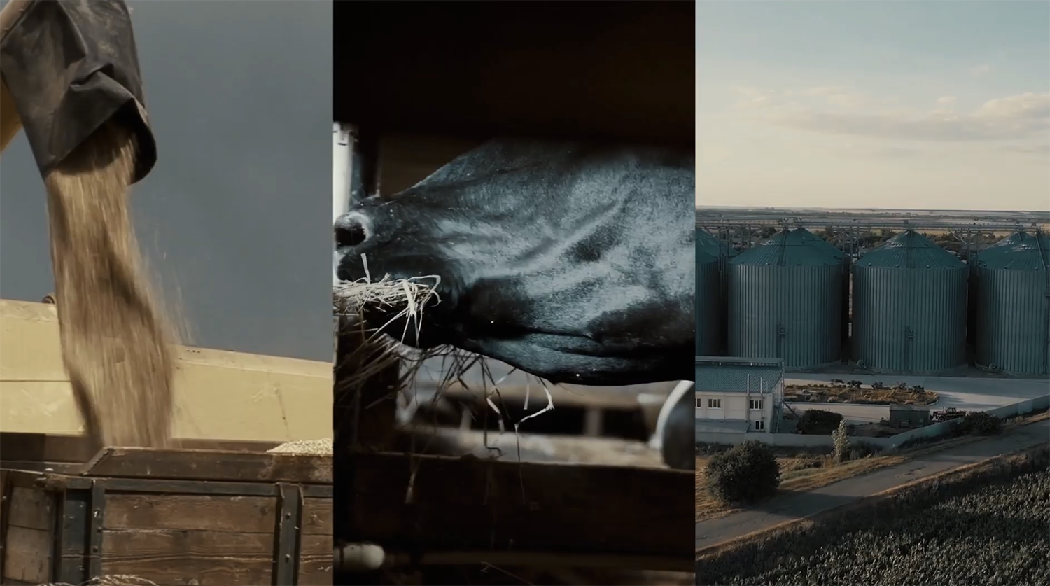 Apps, AI and algae: Meet Hatch Blue’s fourth cohort - Responsible ...