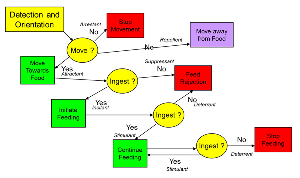 Updating nutritional research strategies for the optimal evaluation of ...