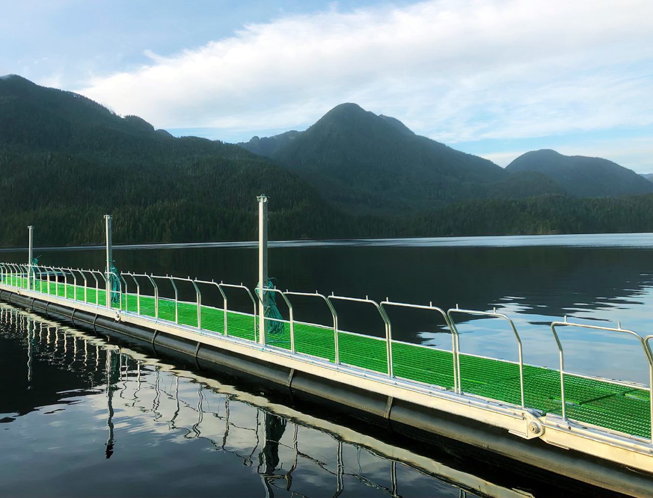 Steel cage salmon farm designer ramping up with capital infusion ...